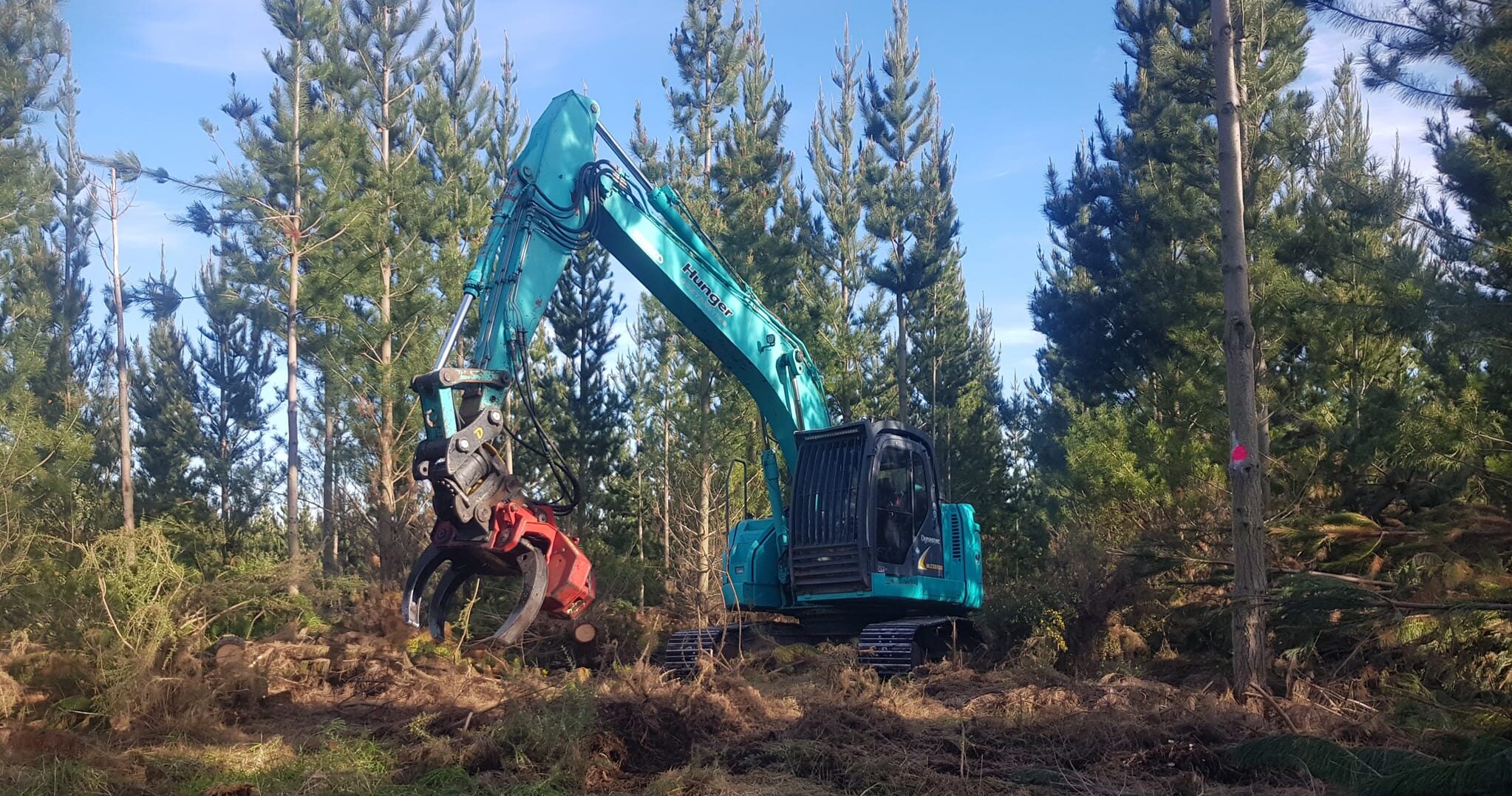 Hunger Contracting | Tree Removal | Forestry | Wood Chipping